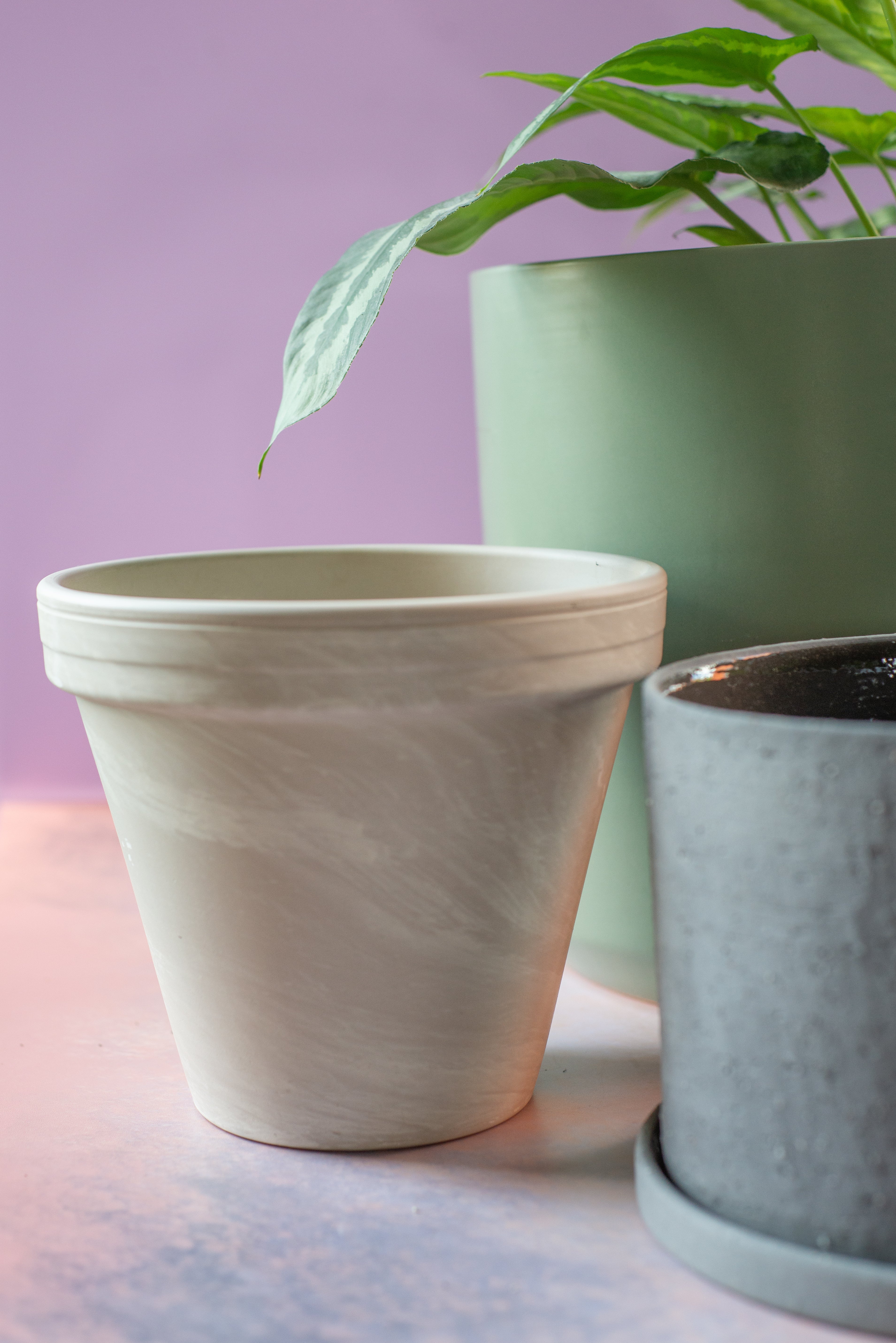 Apollo Pots – PLNTR